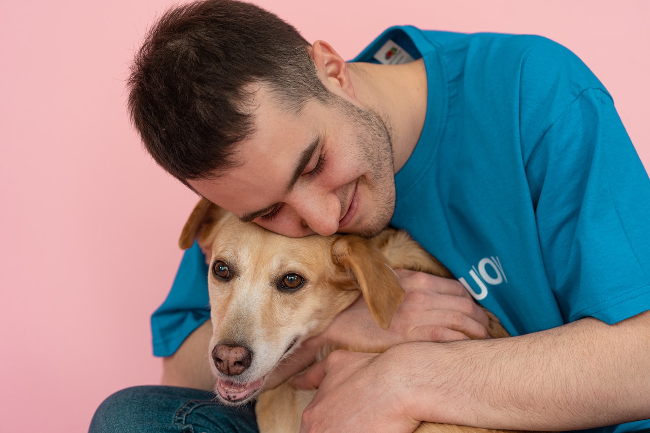 Fetch Pet Insurance Review 2022 For Ontarians Expert By Area fetch-pet-insurance-review-2022-for-ontarians-expert-by-area